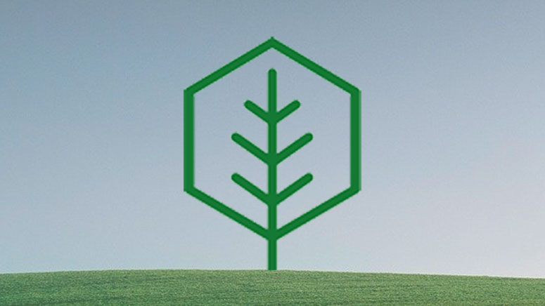 Boxon: Strategic Packaging Concepts - Boxon